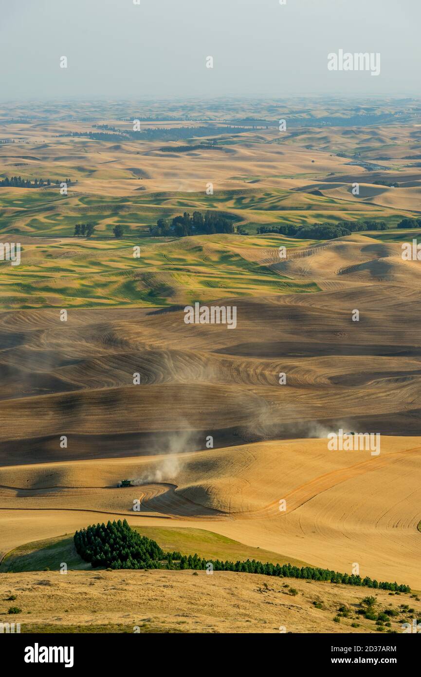 View from Steptoe Butte of rolling fields with farmers harvesting wheat ...