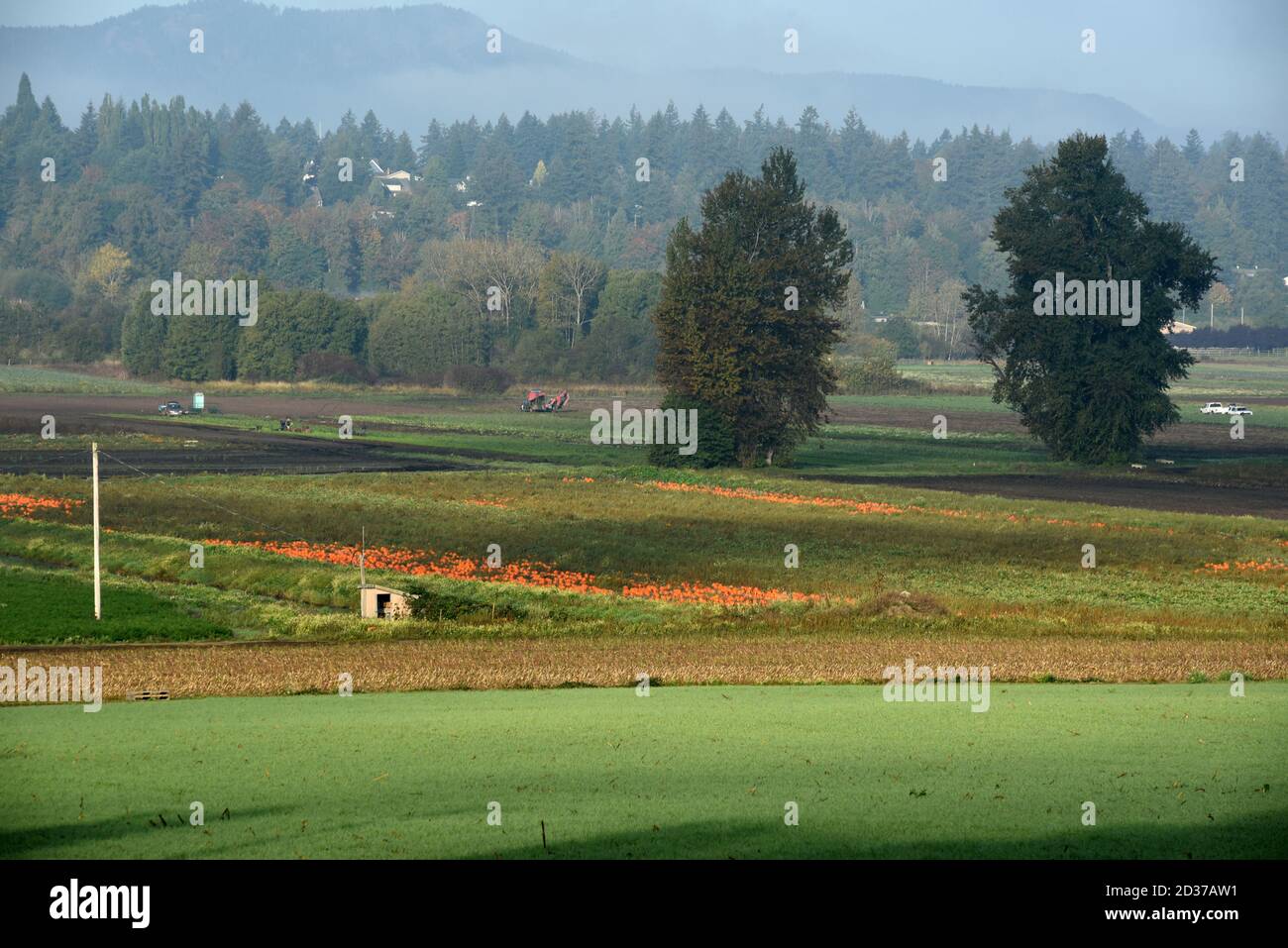 Agriculture vancouver island hi-res stock photography and images - Alamy