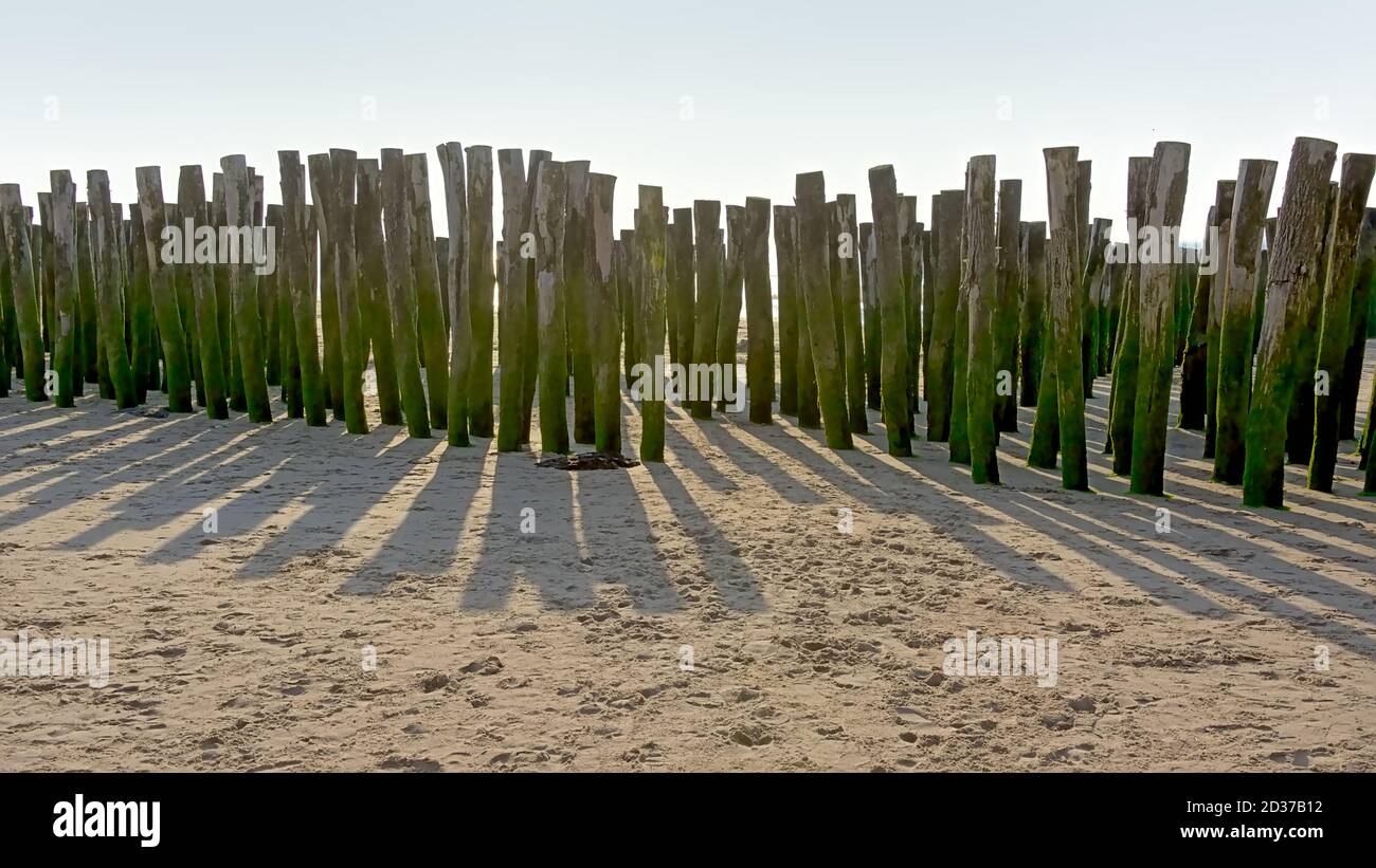 Mussel pole hi-res stock photography and images - Alamy