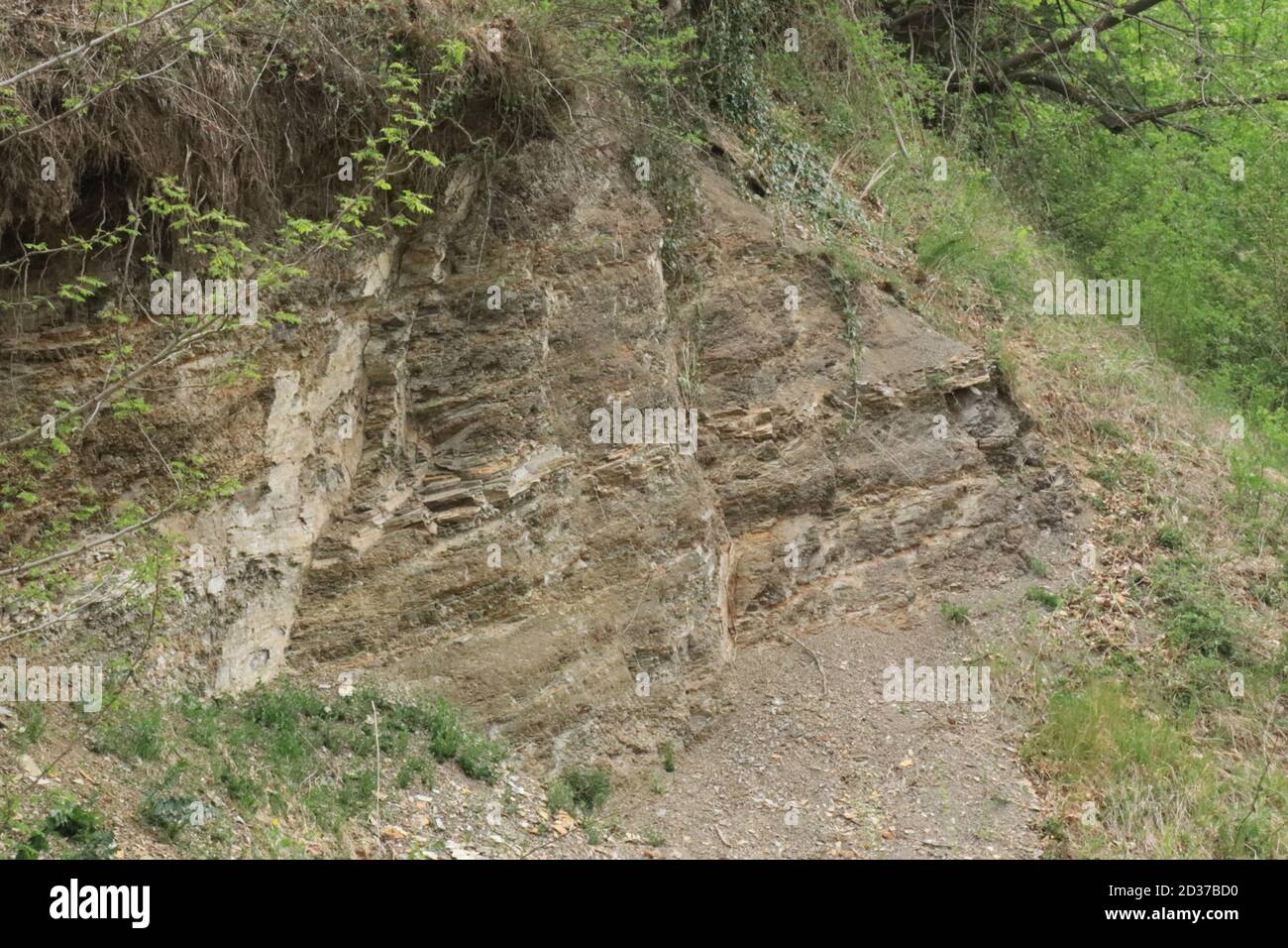 An outcrop or rocky outcrop macro shot Stock Photo - Alamy