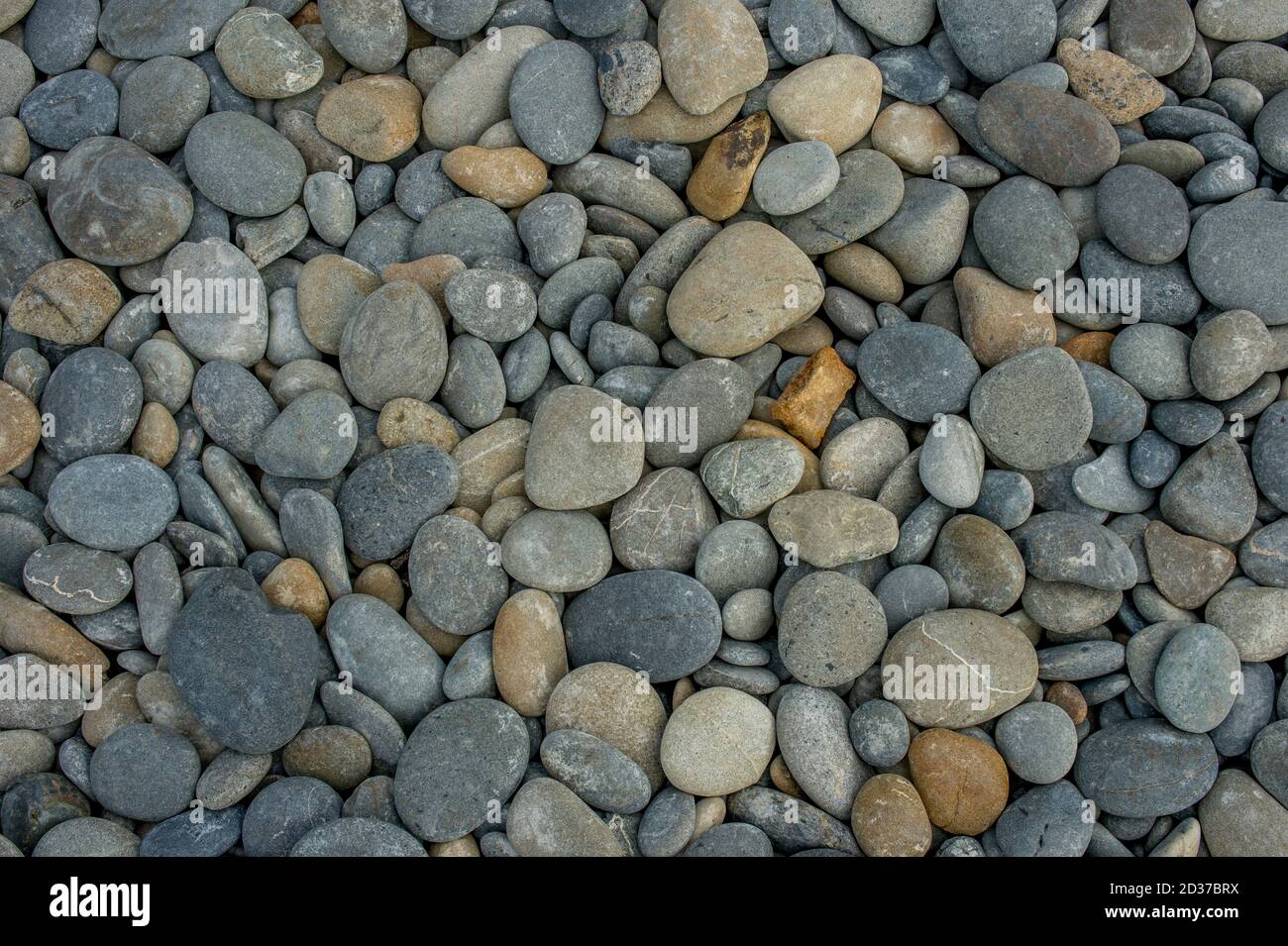 Rock pebbles on beach at Ruby Beach on the coast of the Olympic ...