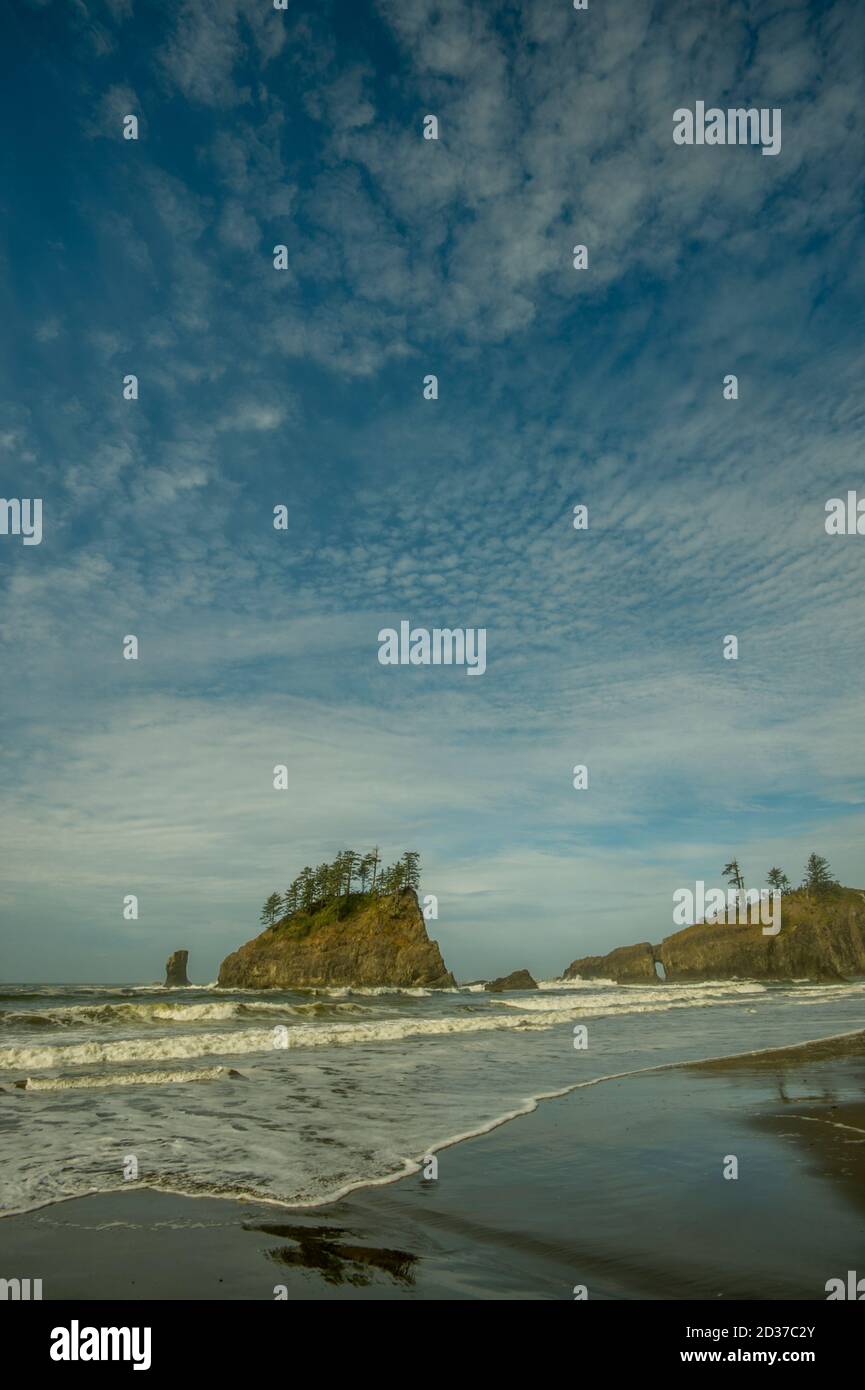 Sea stacks at Second Beach on the coast of the Olympic Peninsula in the ...
