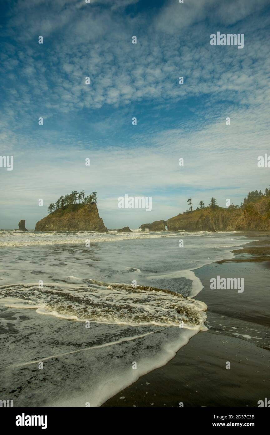 Sea stacks at Second Beach on the coast of the Olympic Peninsula in the ...
