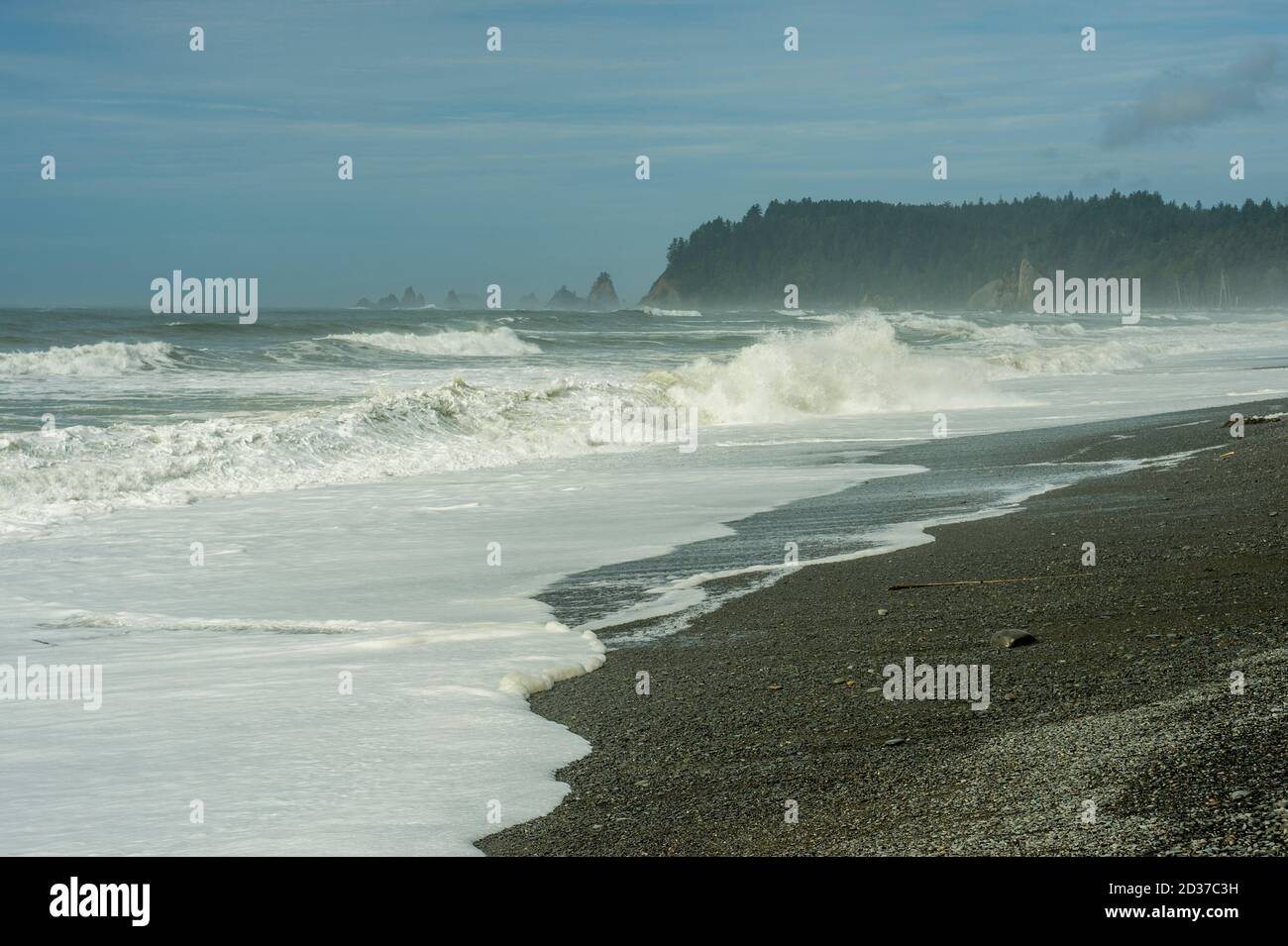 Surfing Washington Olympic National Park
