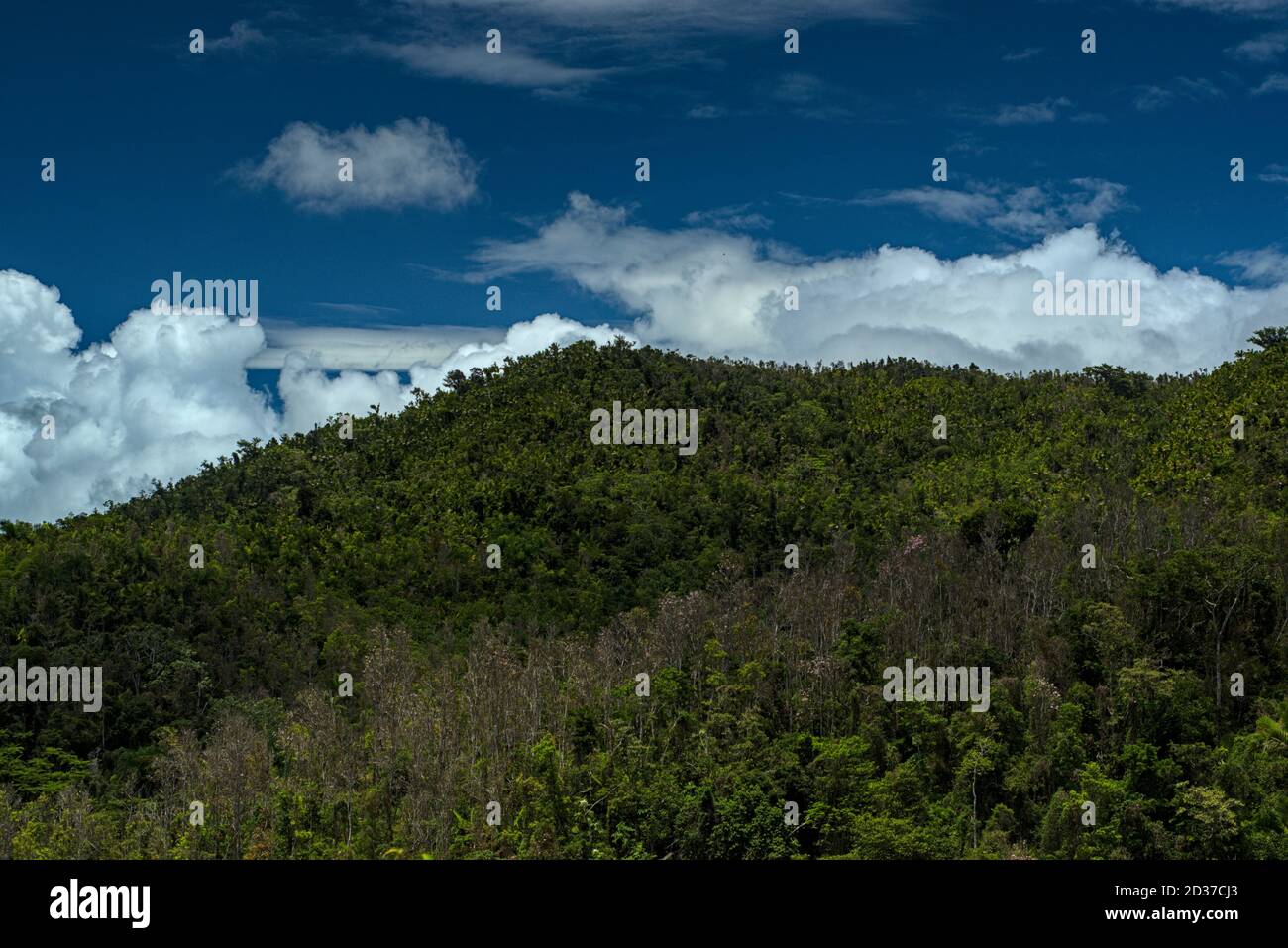 Mountains, Cayey Puerto Rico Stock Photo - Alamy