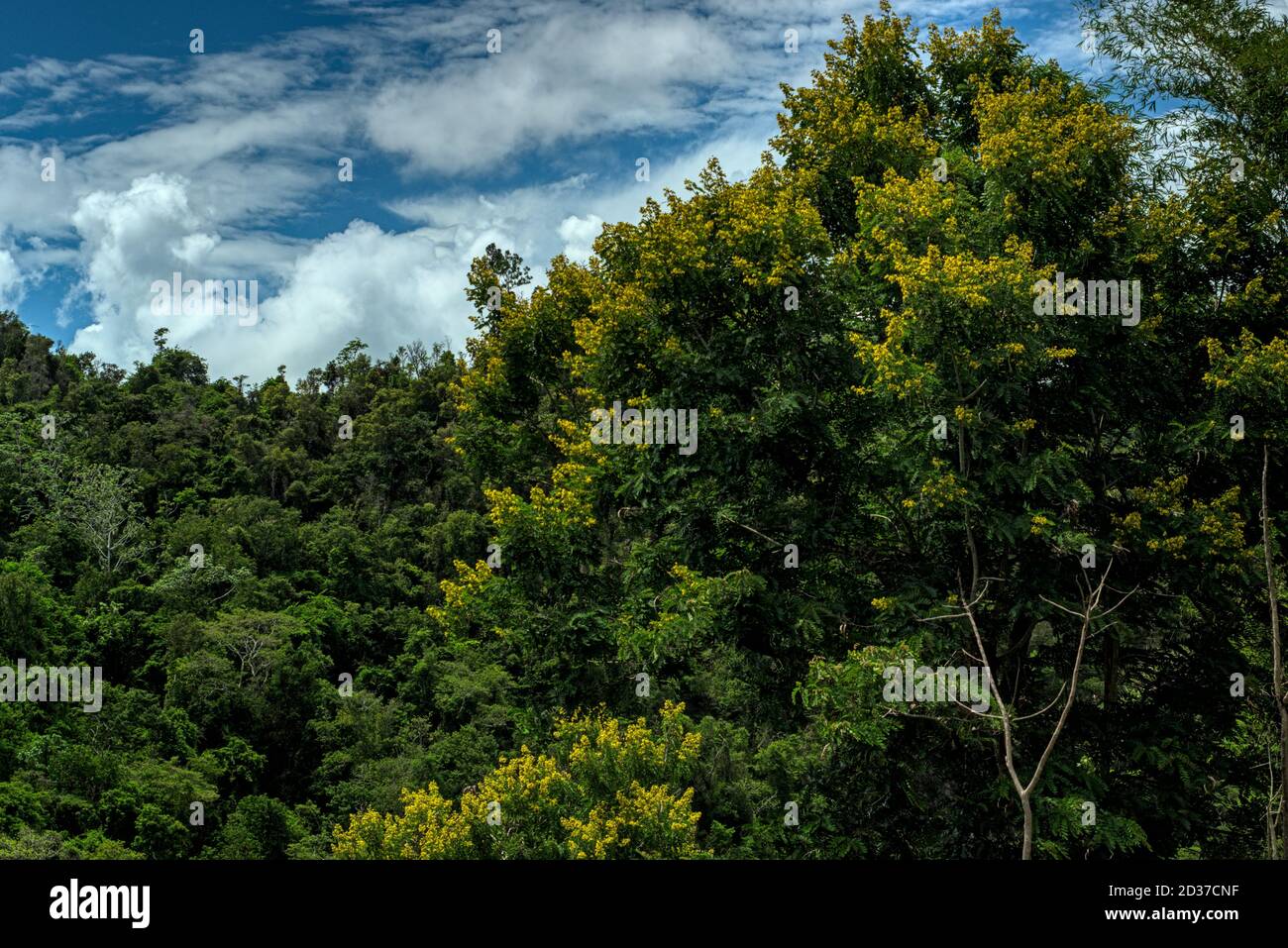 Mountains, Cayey Puerto Rico Stock Photo - Alamy