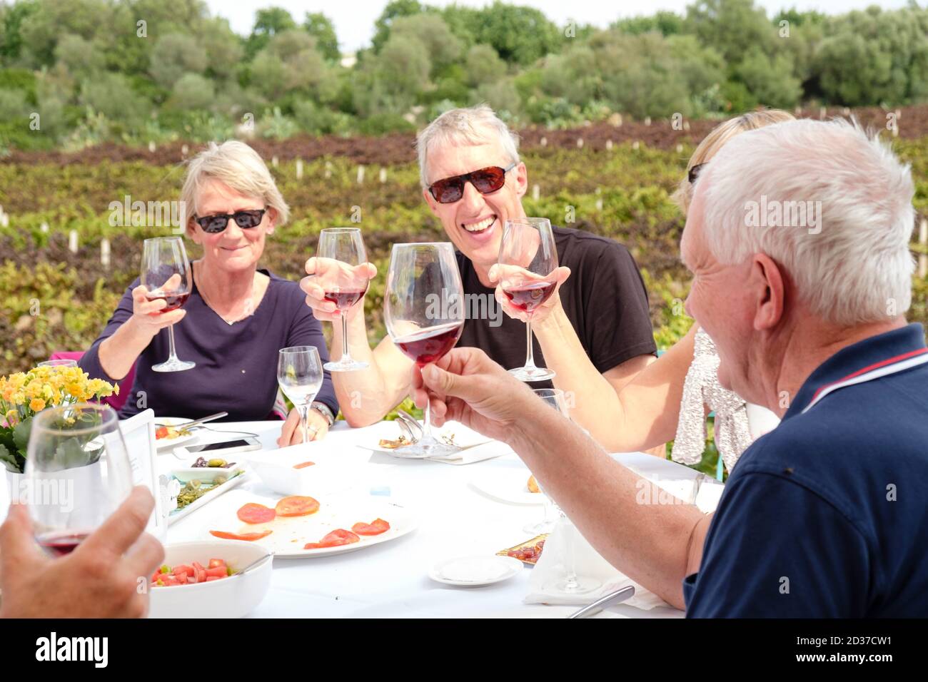 Mora tree hi-res stock photography and images - Alamy