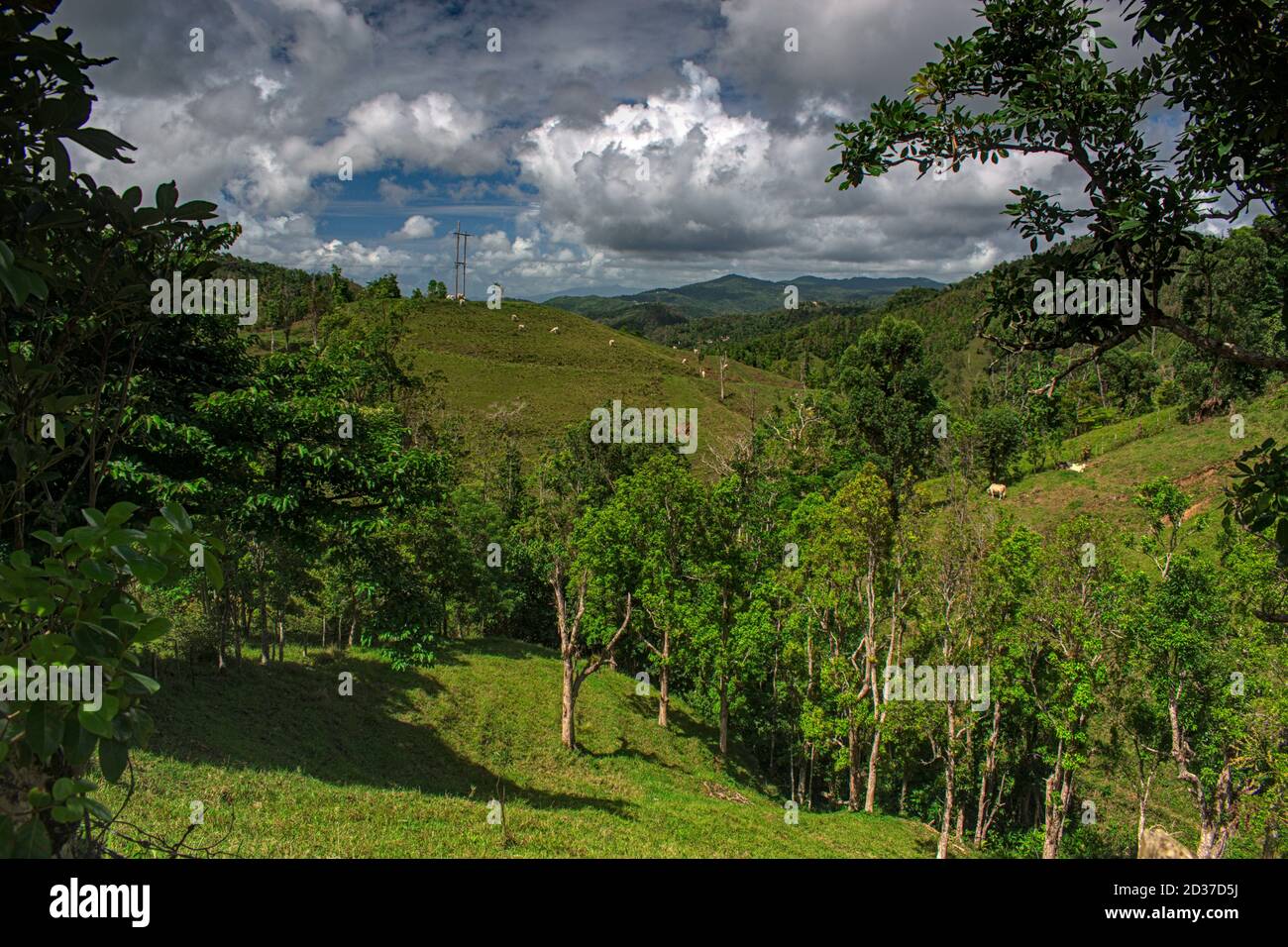Mountains, Cayey Puerto Rico Stock Photo - Alamy