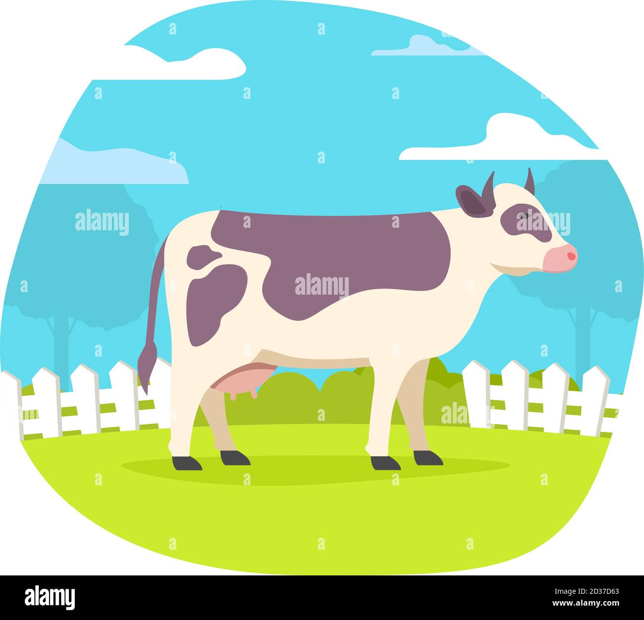 Page semi protected cattle hi-res stock photography and images - Alamy