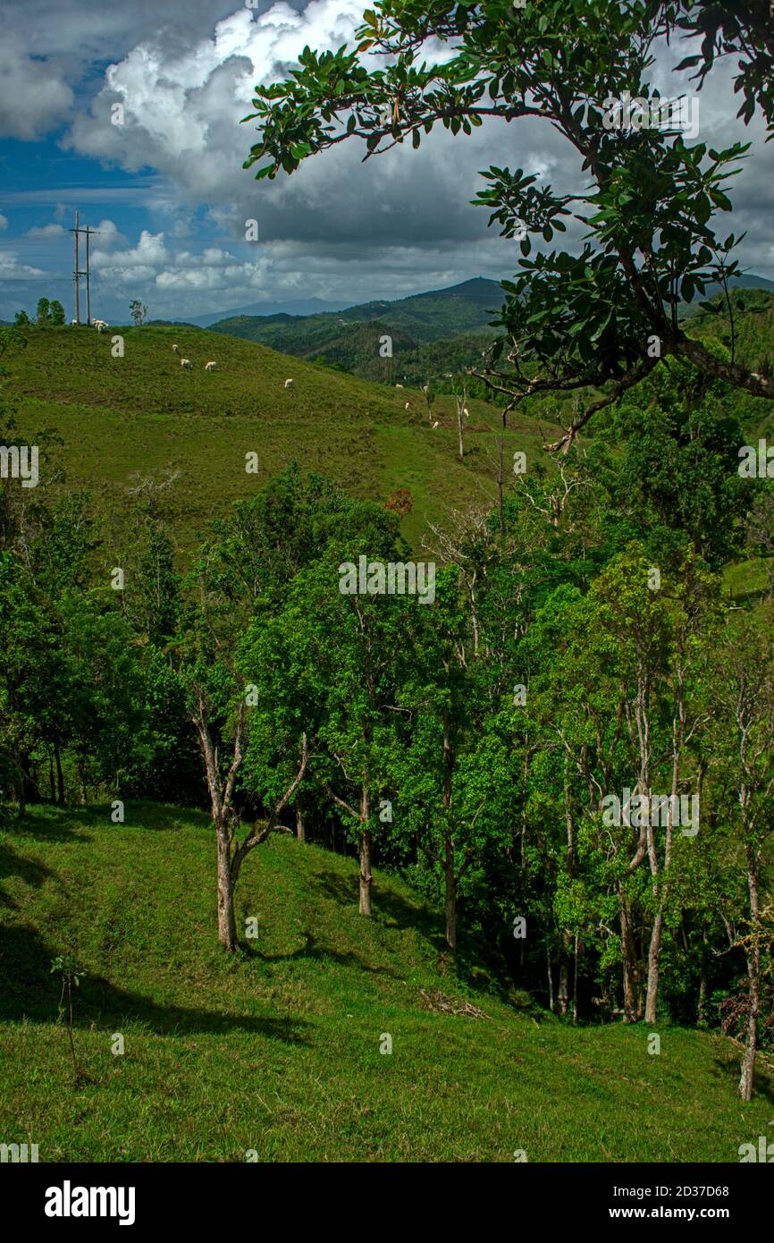 Mountains, Cayey Puerto Rico Stock Photo - Alamy