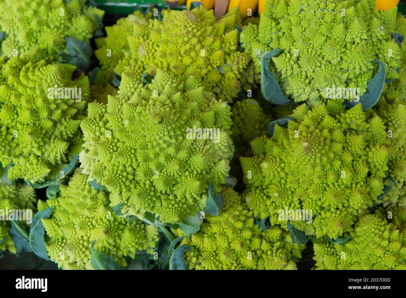 Display of Romanesco cauliflower at the Pike Place Market in Seattle ...