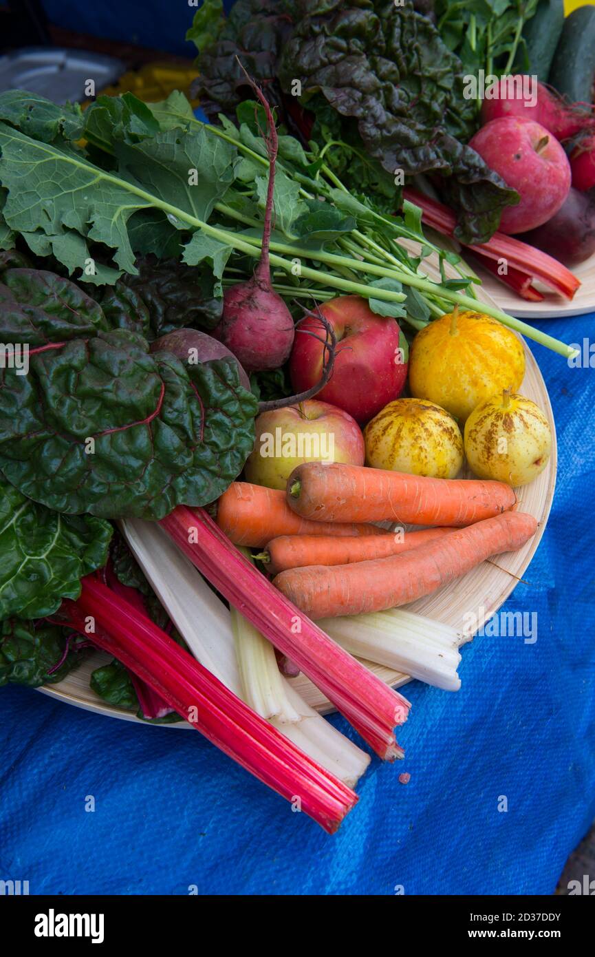 Colorful display of vegetables of a vegetable juice stand at the Pike ...