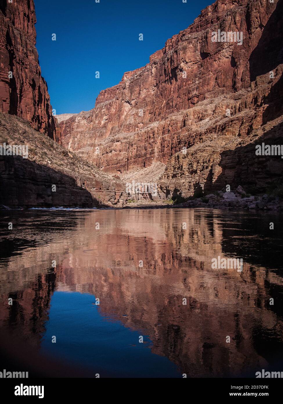 The Colorado River runs through the Grand Canyon Stock Photo - Alamy