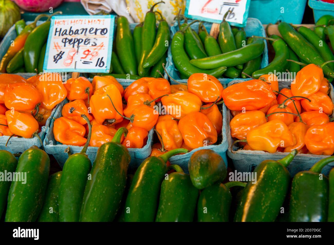 Colorful chili peppers for sale at the Pike Place Market in Seattle ...