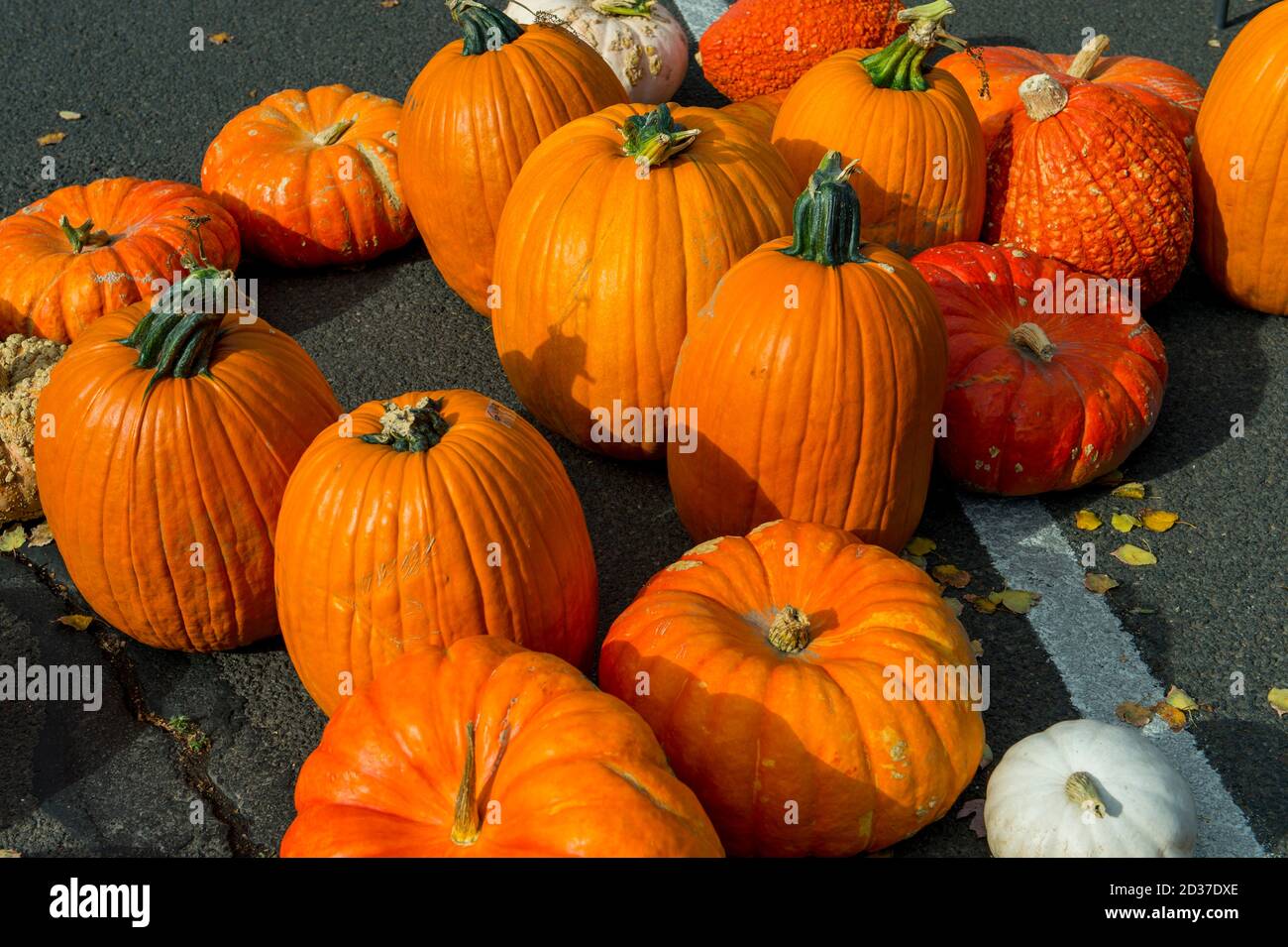 Walla walla fall color in hi-res stock photography and images - Alamy