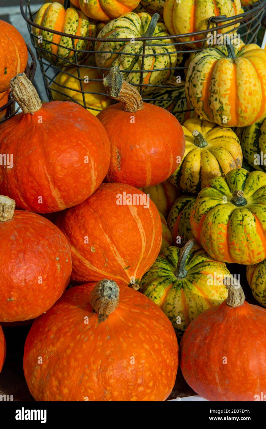Walla walla fall color in hi-res stock photography and images - Alamy