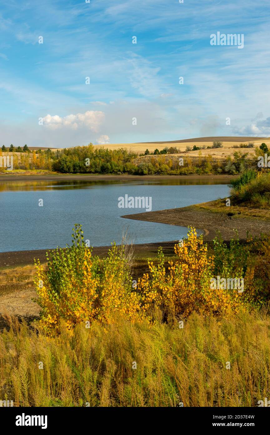 Walla walla fall color in hi-res stock photography and images - Alamy