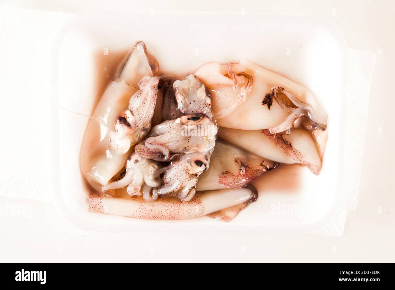 Fresh squids food Stock Photo - Alamy