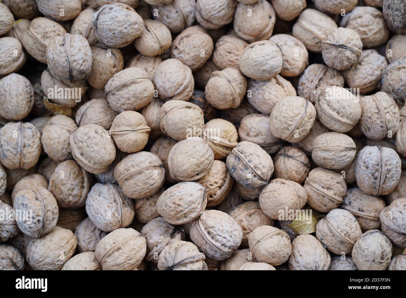 Nuts texture hi-res stock photography and images - Alamy