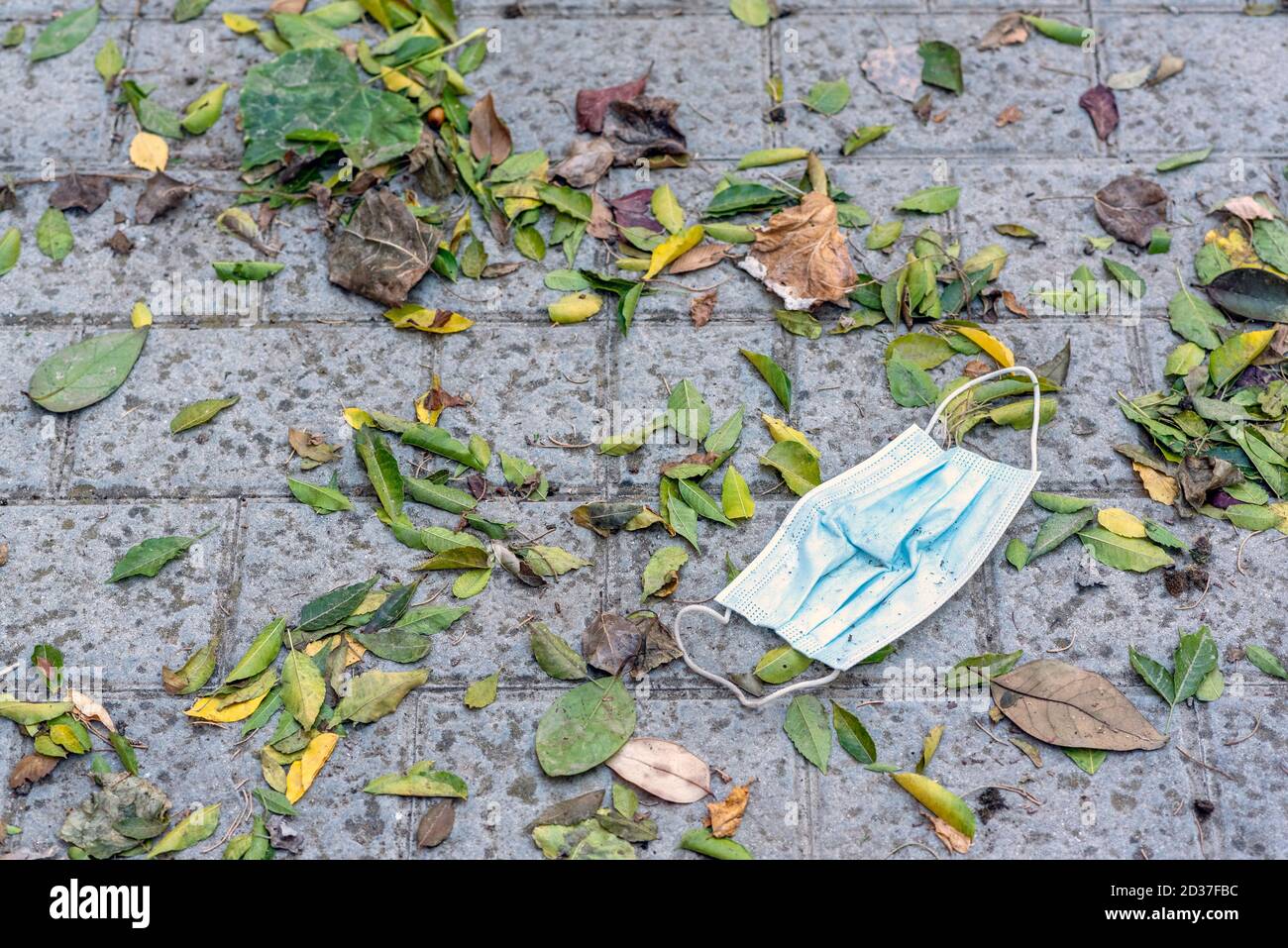 mask lying on the ground next to many leaves Stock Photo - Alamy