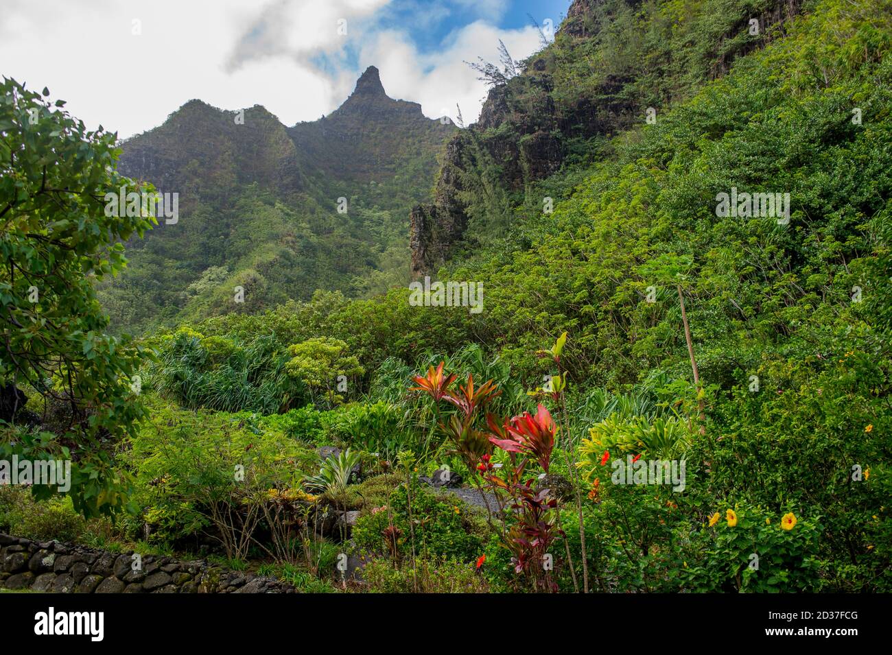 Limahuli Garden High Resolution Stock Photography and Images - Alamy