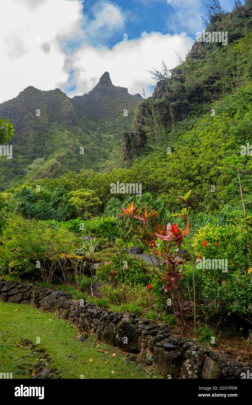 Limahuli garden hi-res stock photography and images - Alamy