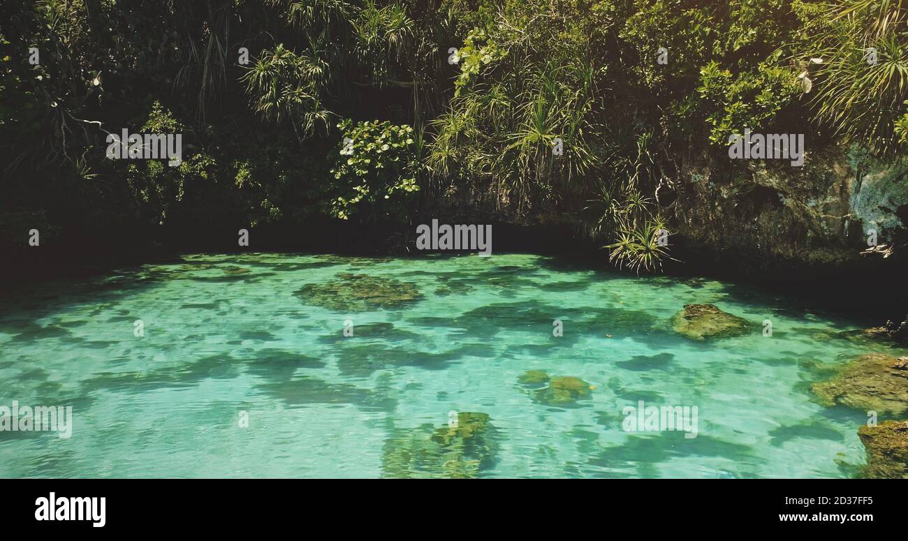 Closeup limpid lake with salt water at exotic green plants. Emerald ...