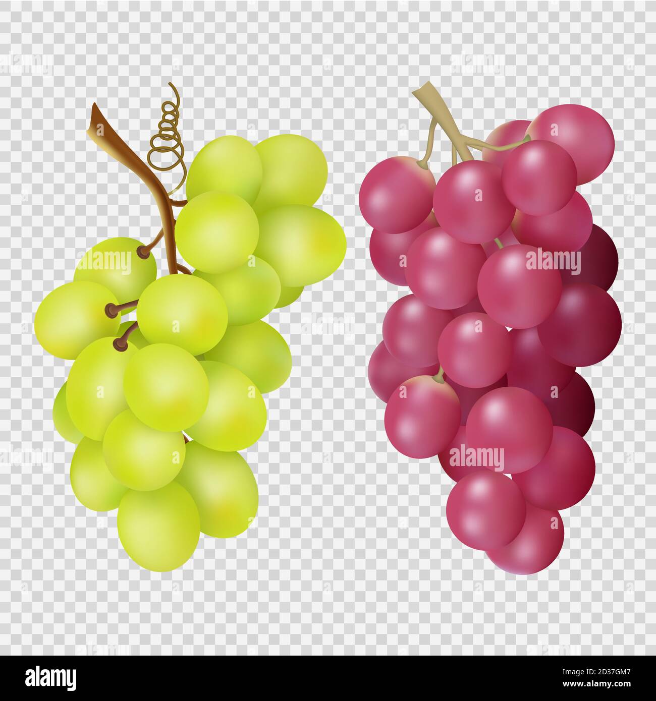 Realistic grapes isolated on transparent background. Vector bunches of ...