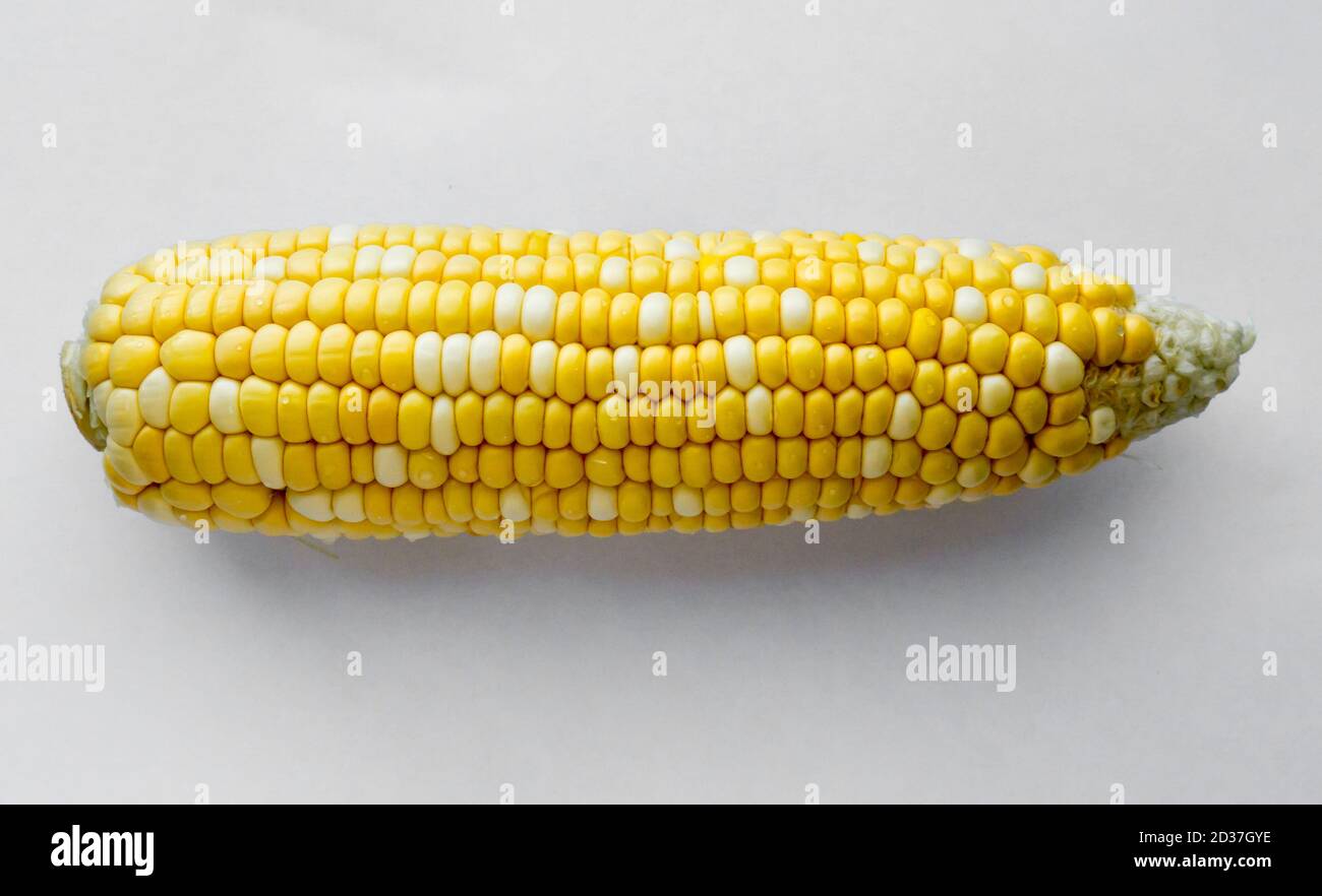 Marble body hi-res stock photography and images - Alamy