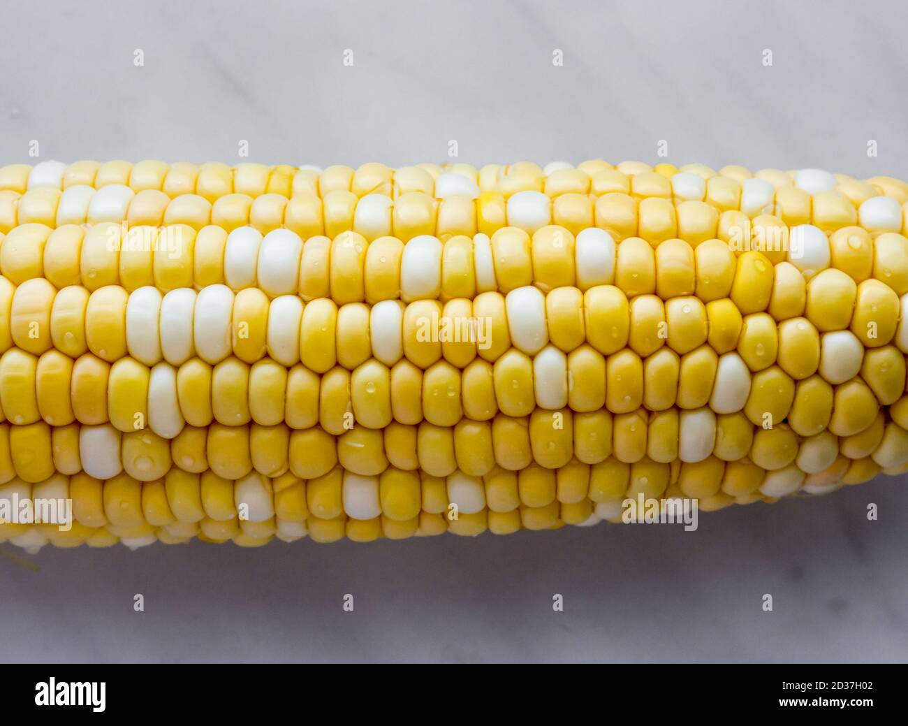 How to make a marble background hi-res stock photography and images - Alamy