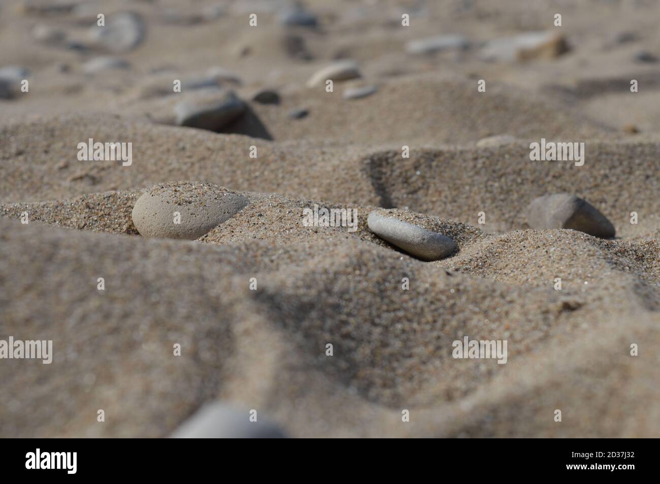 Pebbles In Sand On The Beach Stock Photo - Alamy