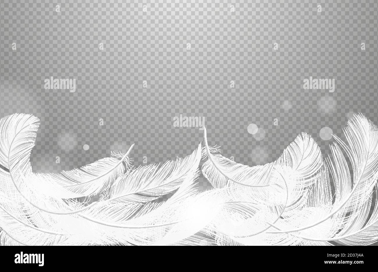 Falling Feather Wallpaper