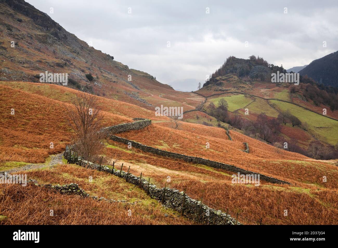 Castle Crag in Borrowdale, in the English Lake District, Cumbria, UK ...