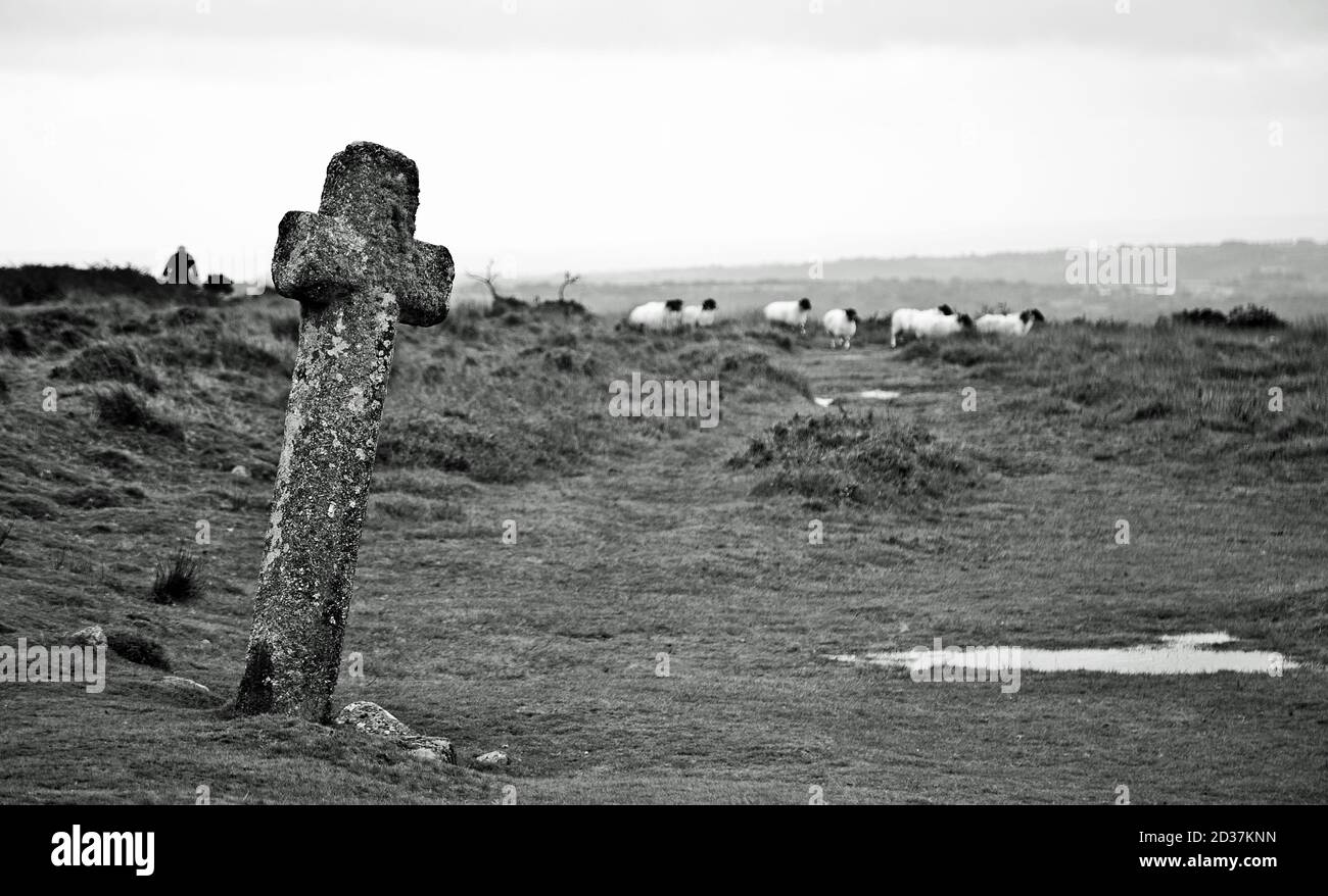 Windy Post Cross Dartmoor Stock Photo - Alamy