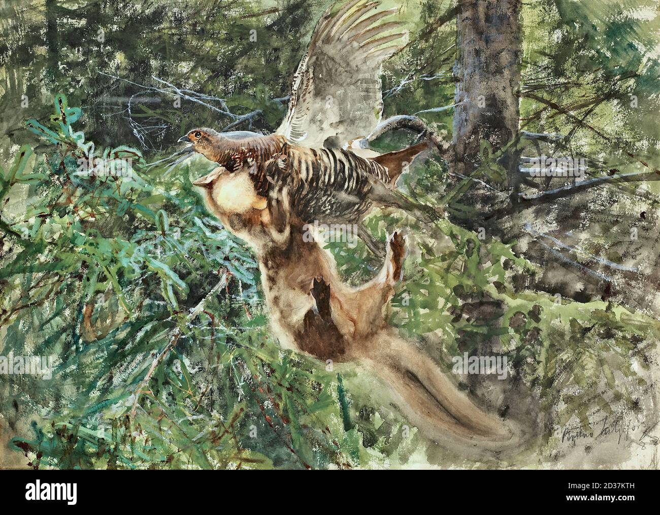 Liljefors Bruno - Forest Scene with Pine Marten Attacking a Black ...