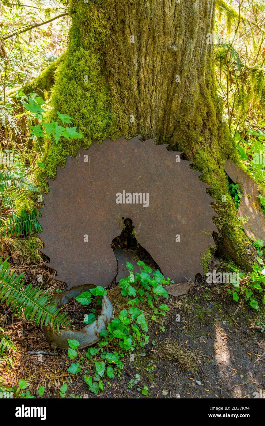 Old historic logging history hi-res stock photography and images - Alamy