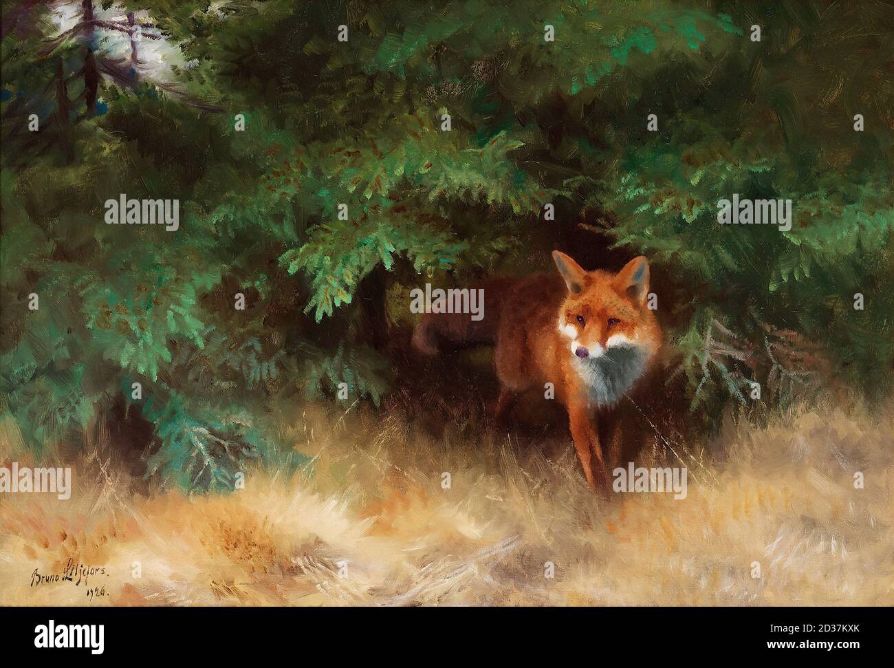 Liljefors Bruno - Fox Hiding Under Spruce - Swedish School - 19th ...
