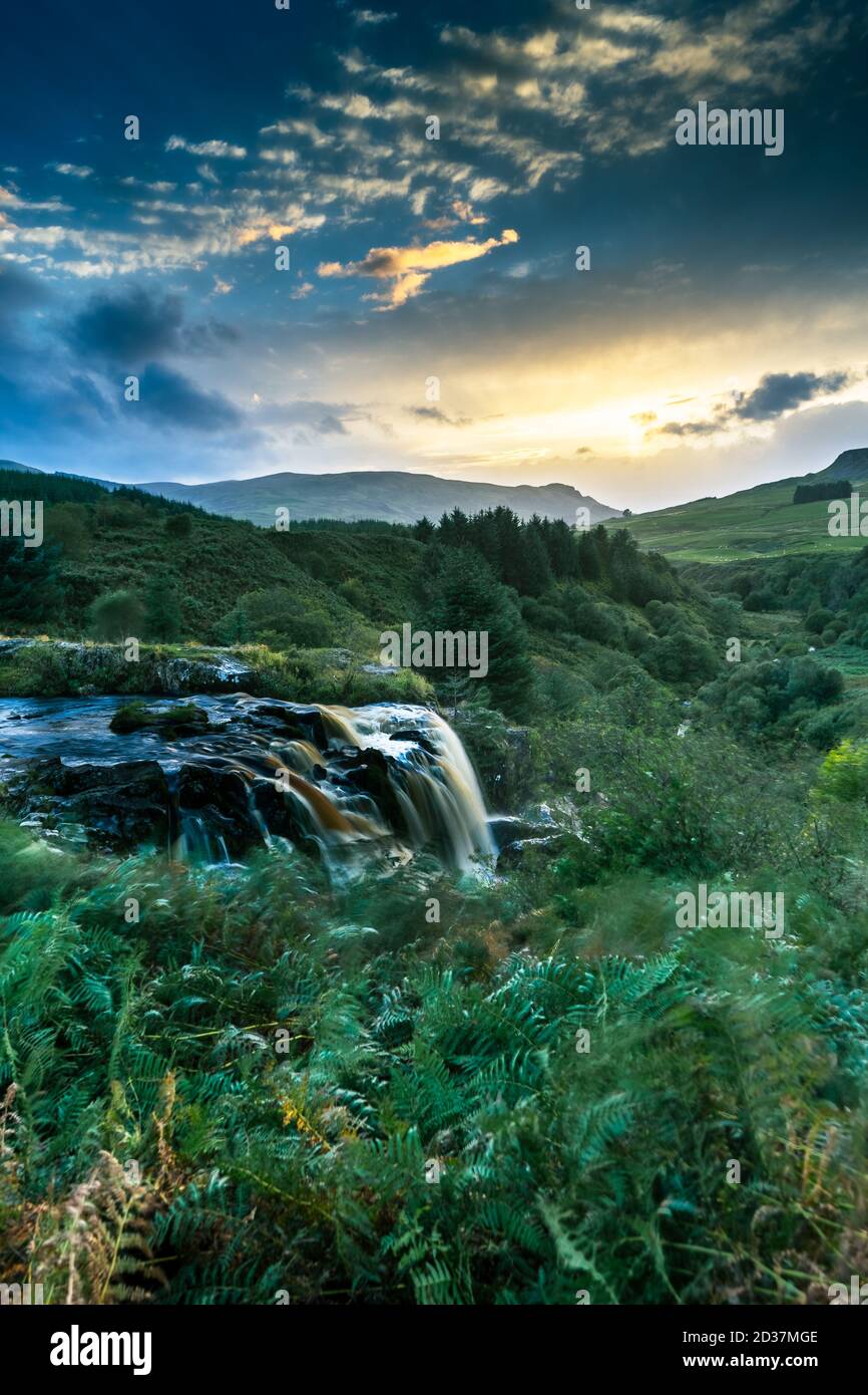 Loup of fintry hi-res stock photography and images - Alamy