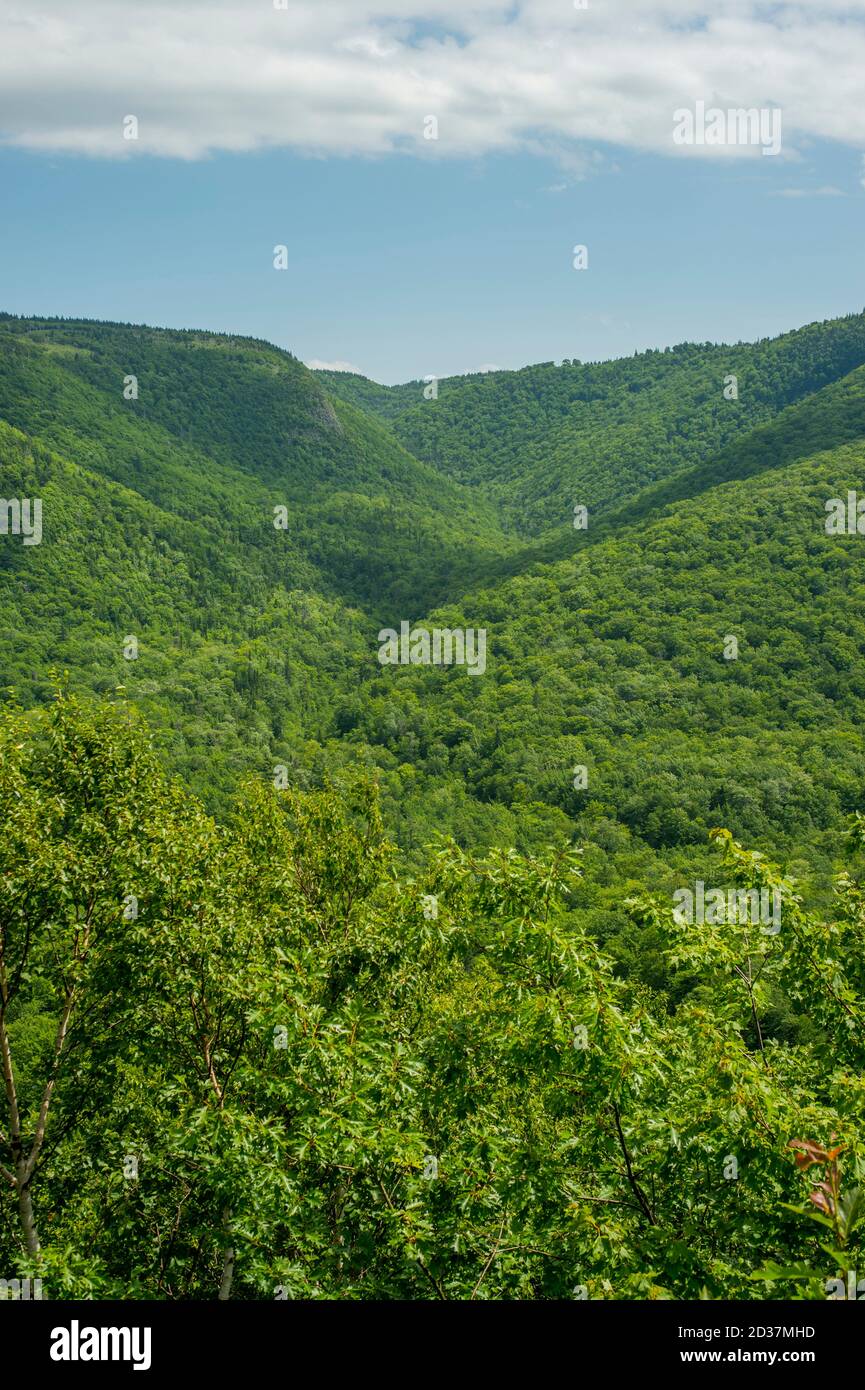 Forest covered hills of Cape Breton Highlands from overlook along the ...