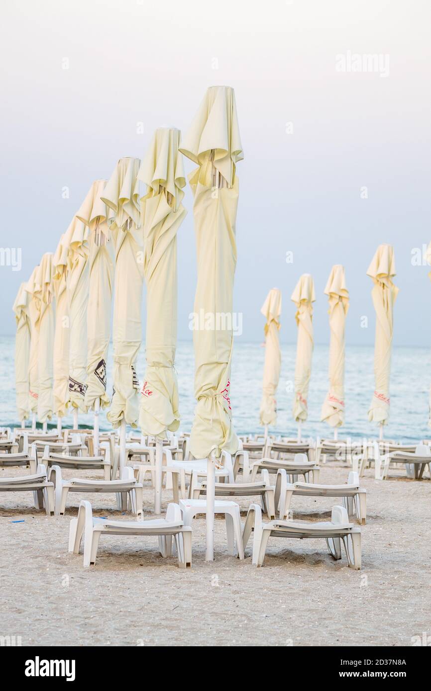 Vertical closeup focus shot of closed beach umbrella rows Stock Photo ...