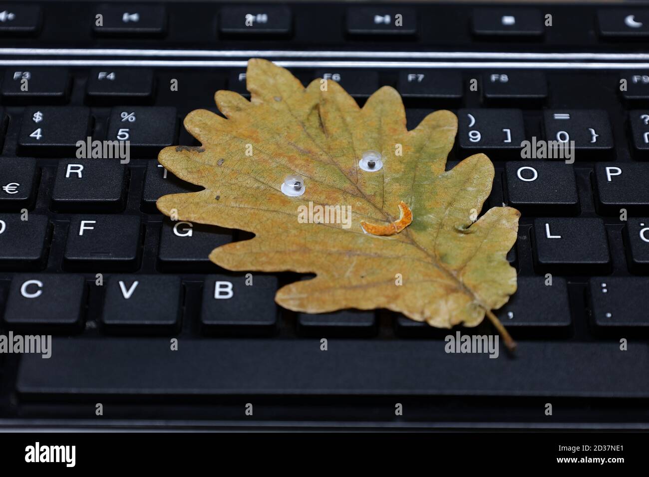 Computer keyboard green leaf concept hi-res stock photography and ...