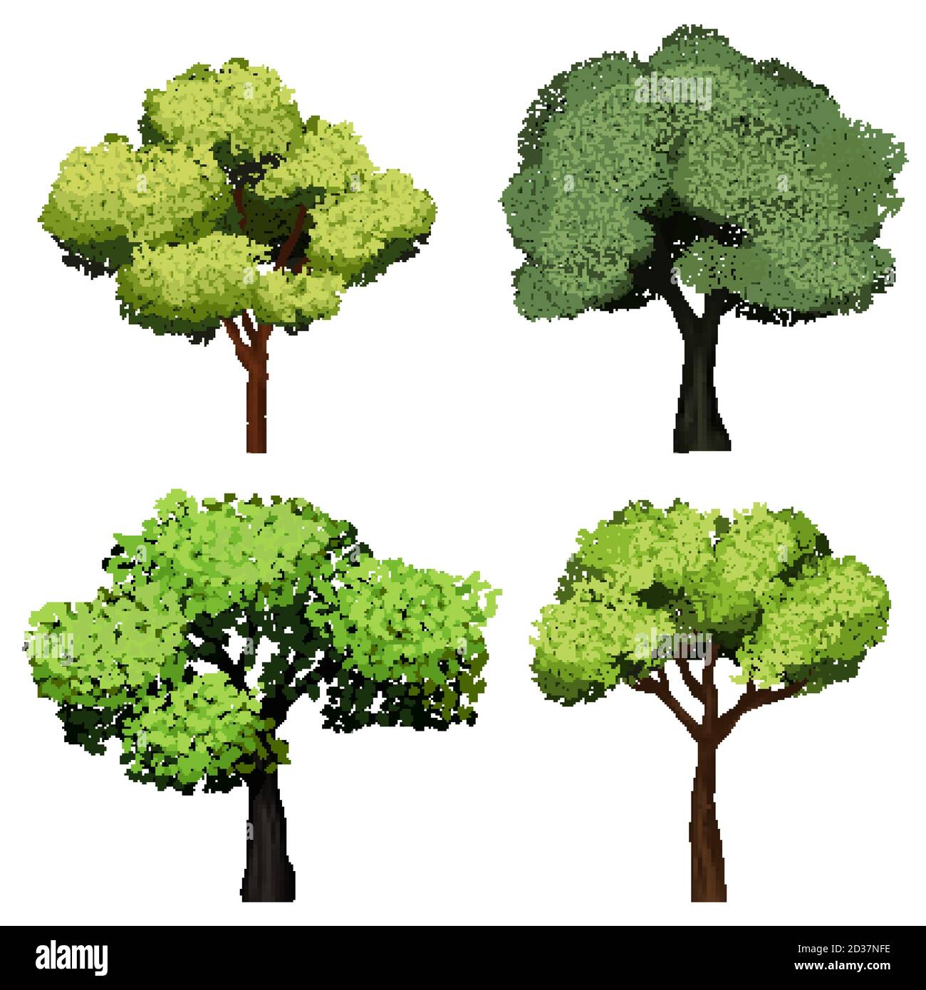 Trees realistic. Nature garden botanical collection trees with green ...