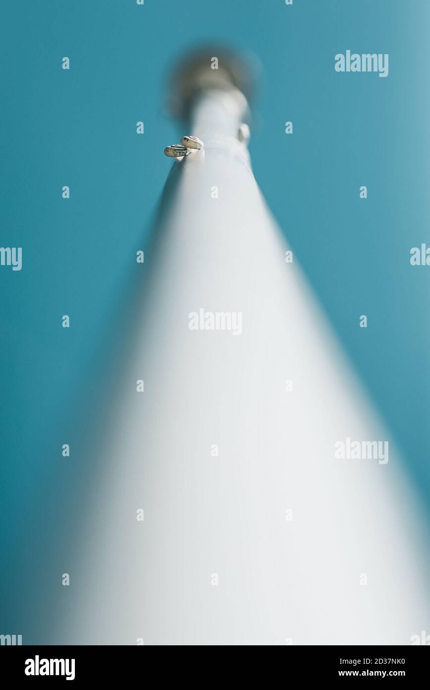 Two small white snail shells on a white post Stock Photo - Alamy