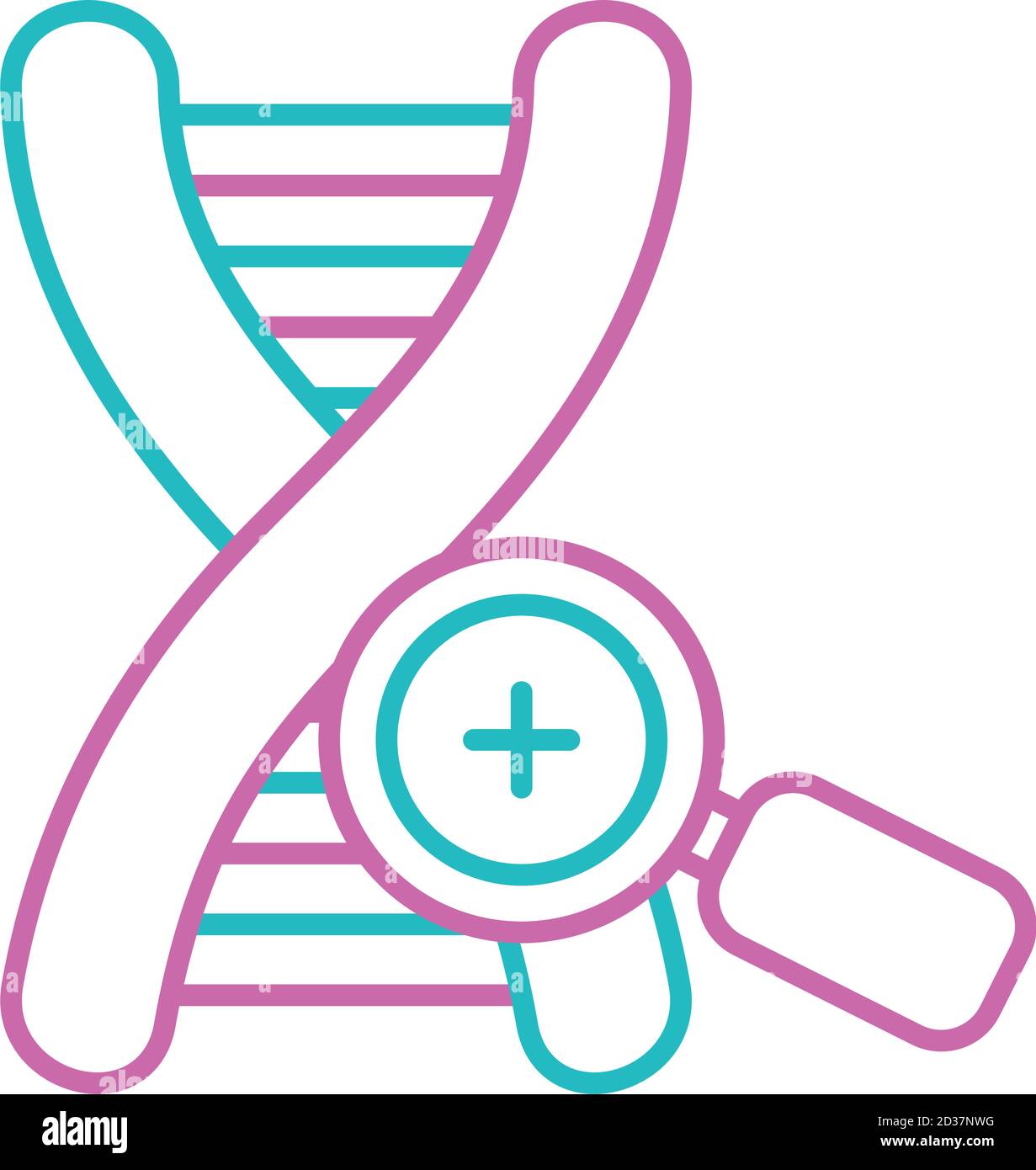 Dna and magnifying glass with cross icon over white background, line ...