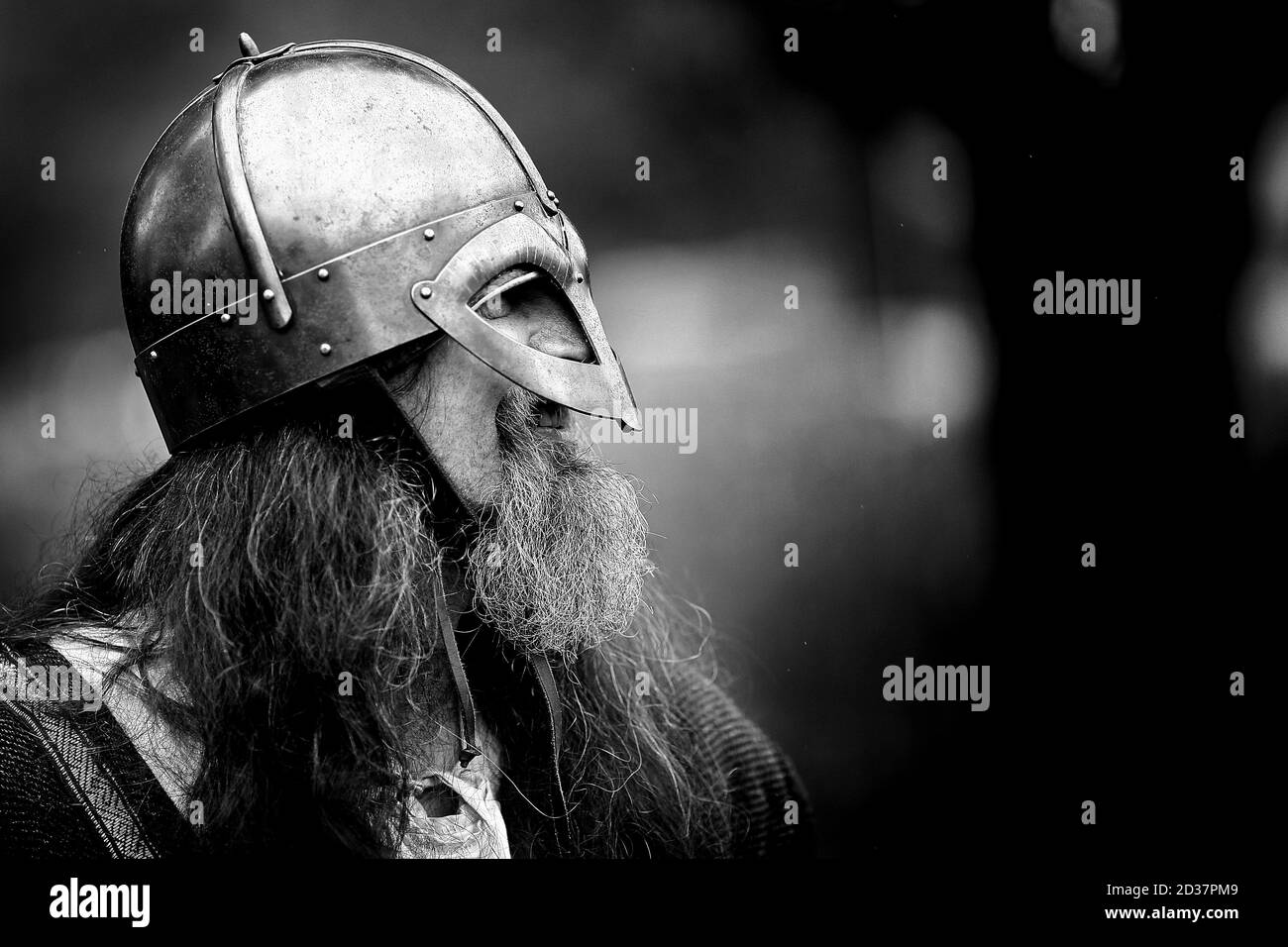 Vikings shields Black and White Stock Photos & Images - Alamy