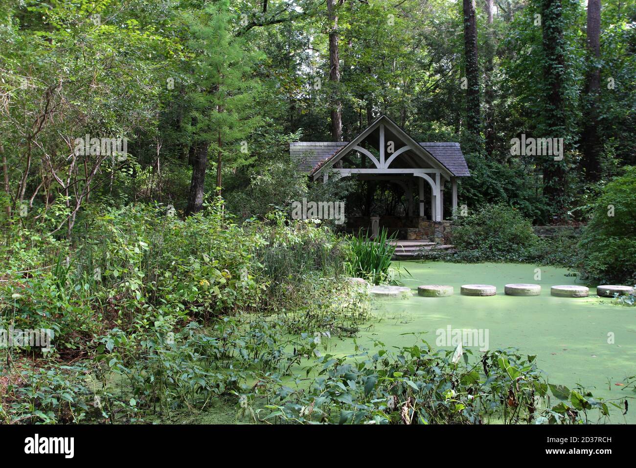 A peaceful spot in the forest of Durham, North Carolina, USA, with a ...