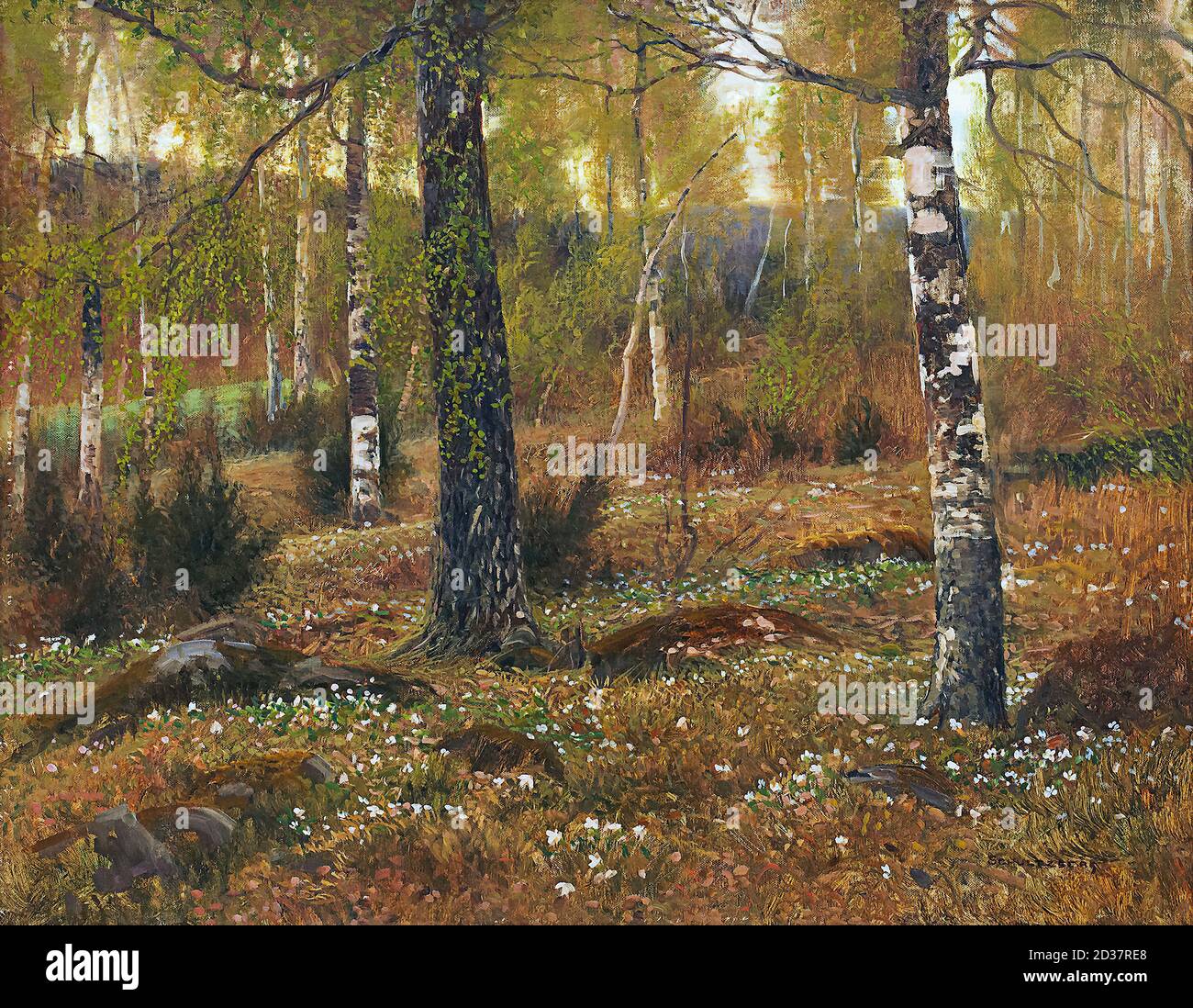 Anshelm schultzberg hi-res stock photography and images - Alamy