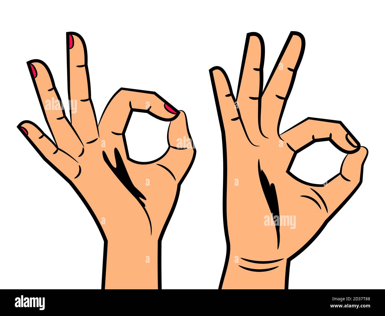 Female and male hands showing OK sign vector illustration Stock Vector ...