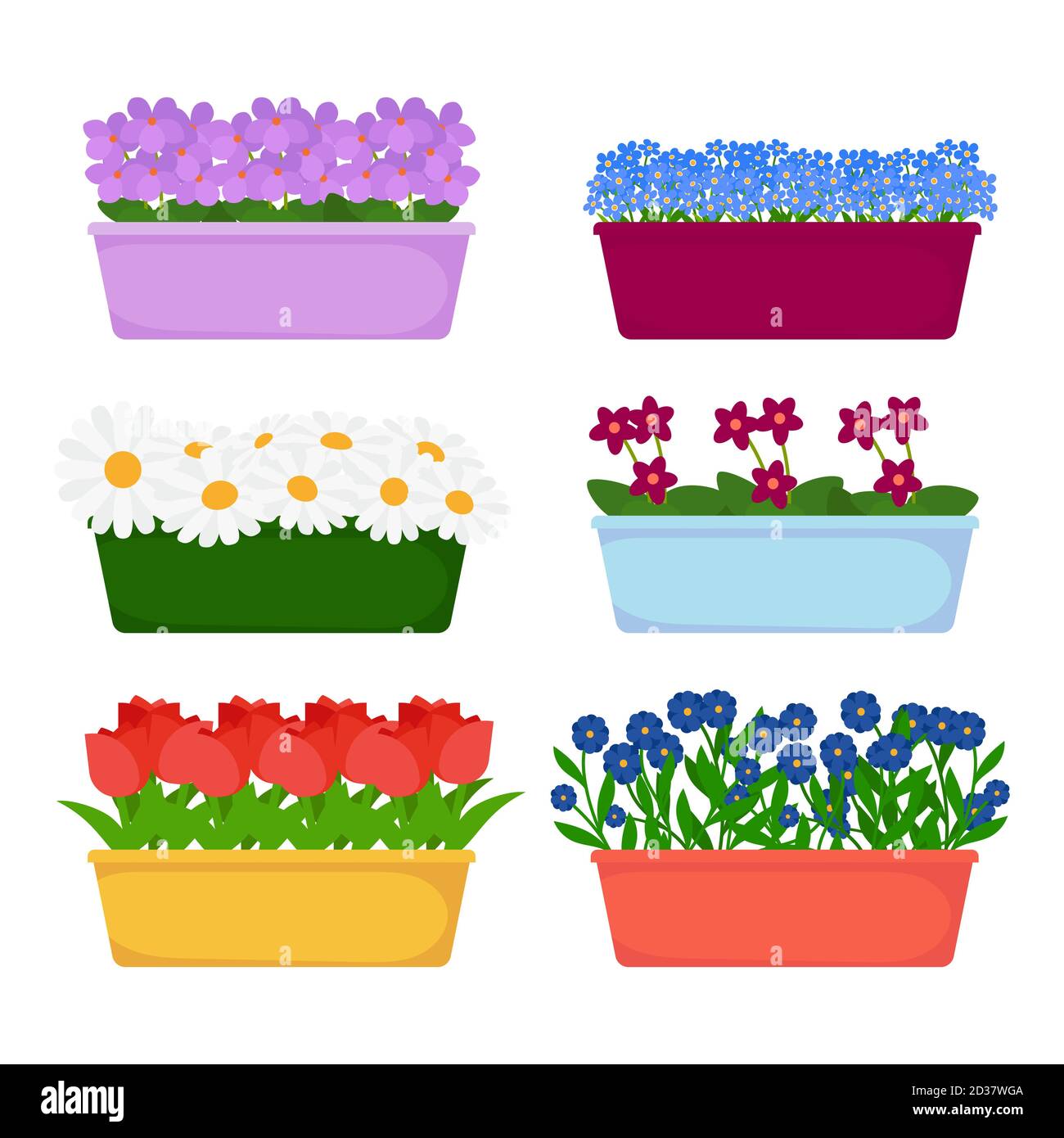 Vector house and garden flowers in long pots vector isolated on white ...