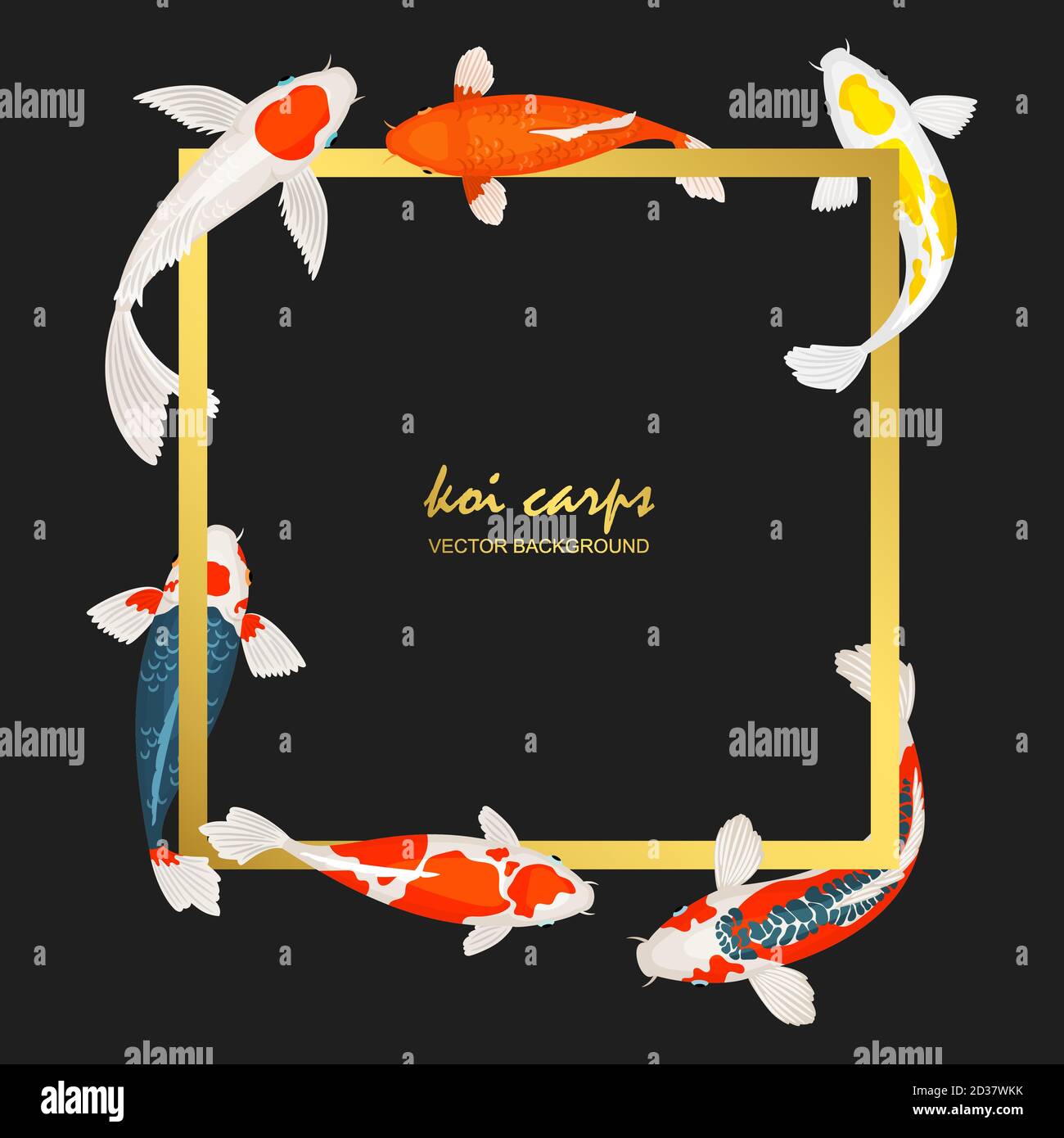 Colorful koi fish and gold frame vector background Stock Vector Image ...